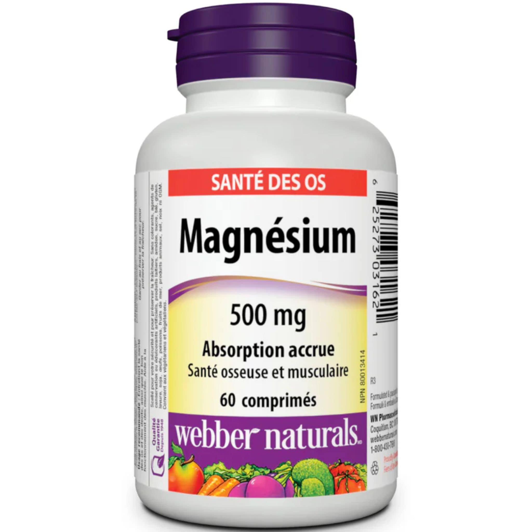 Shop Webber Naturals Magnesium 500mg, Chelated, Supports Bone Health