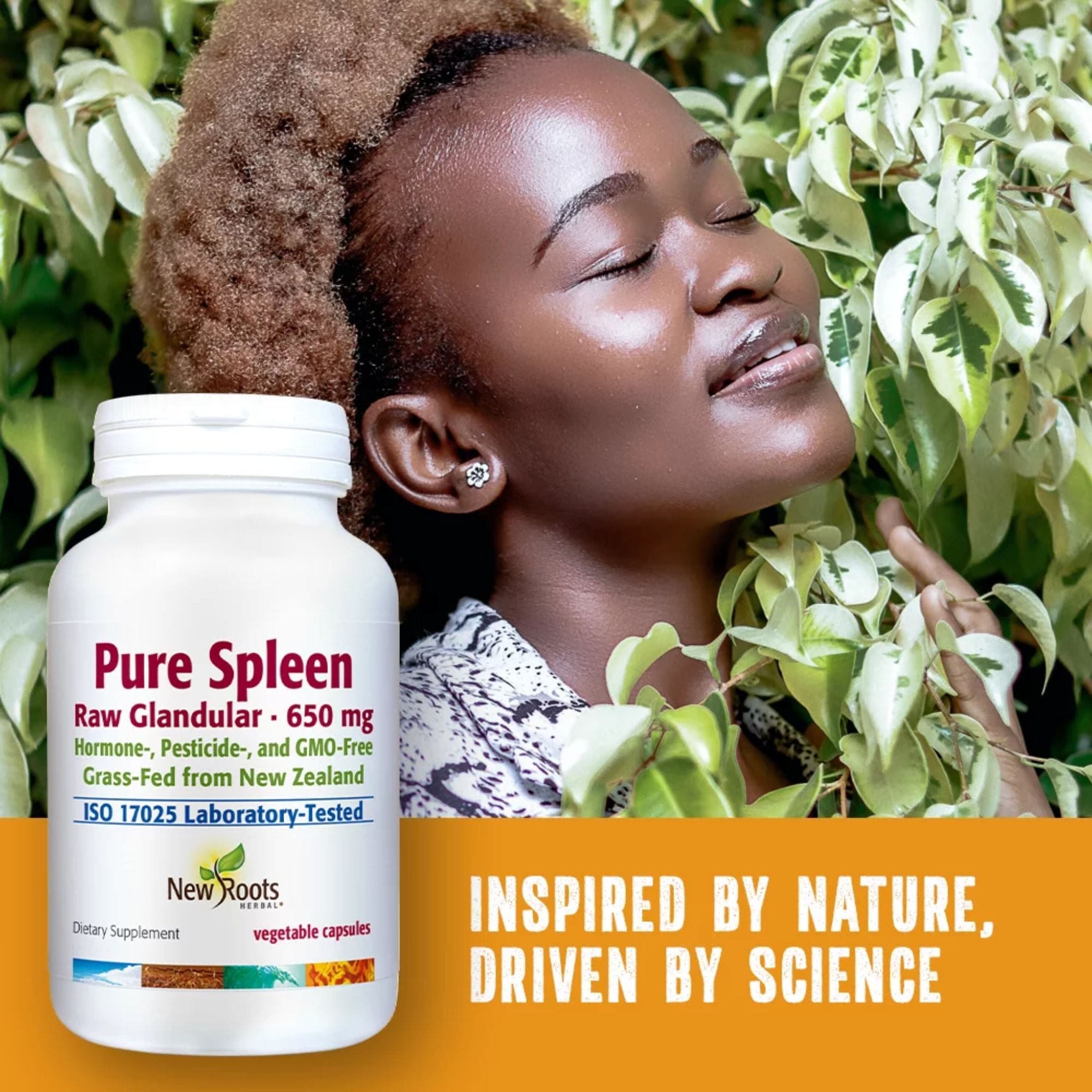 New Roots Grass Fed Beef Spleen 650mg, Raw Glandular, 30 Capsules ...