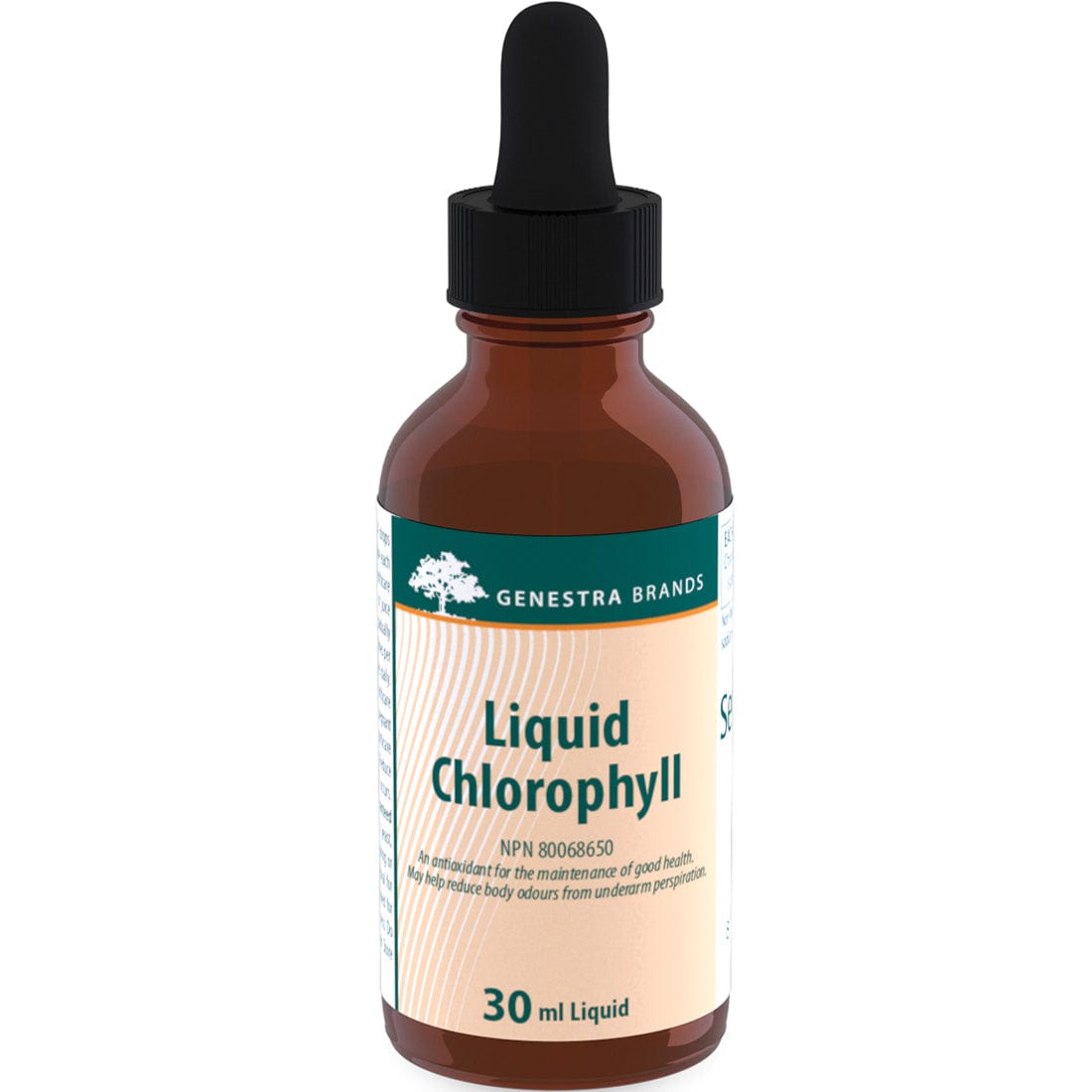 Genestra Liquid Chlorophyll, 30ml – Vitamart.ca